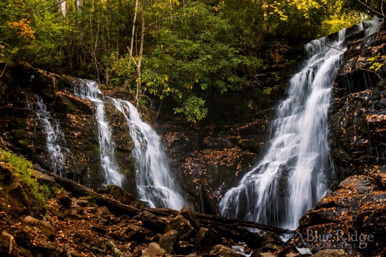 Fall Color and Foliage Guide for 2025
