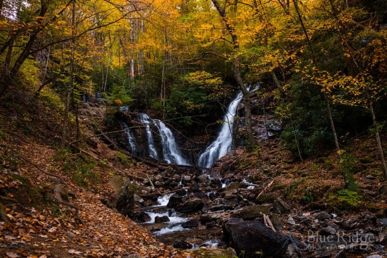 Fall Color and Foliage Guide for 2025