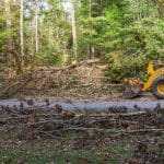 The Ultimate Blue Ridge Parkway Travel Guide