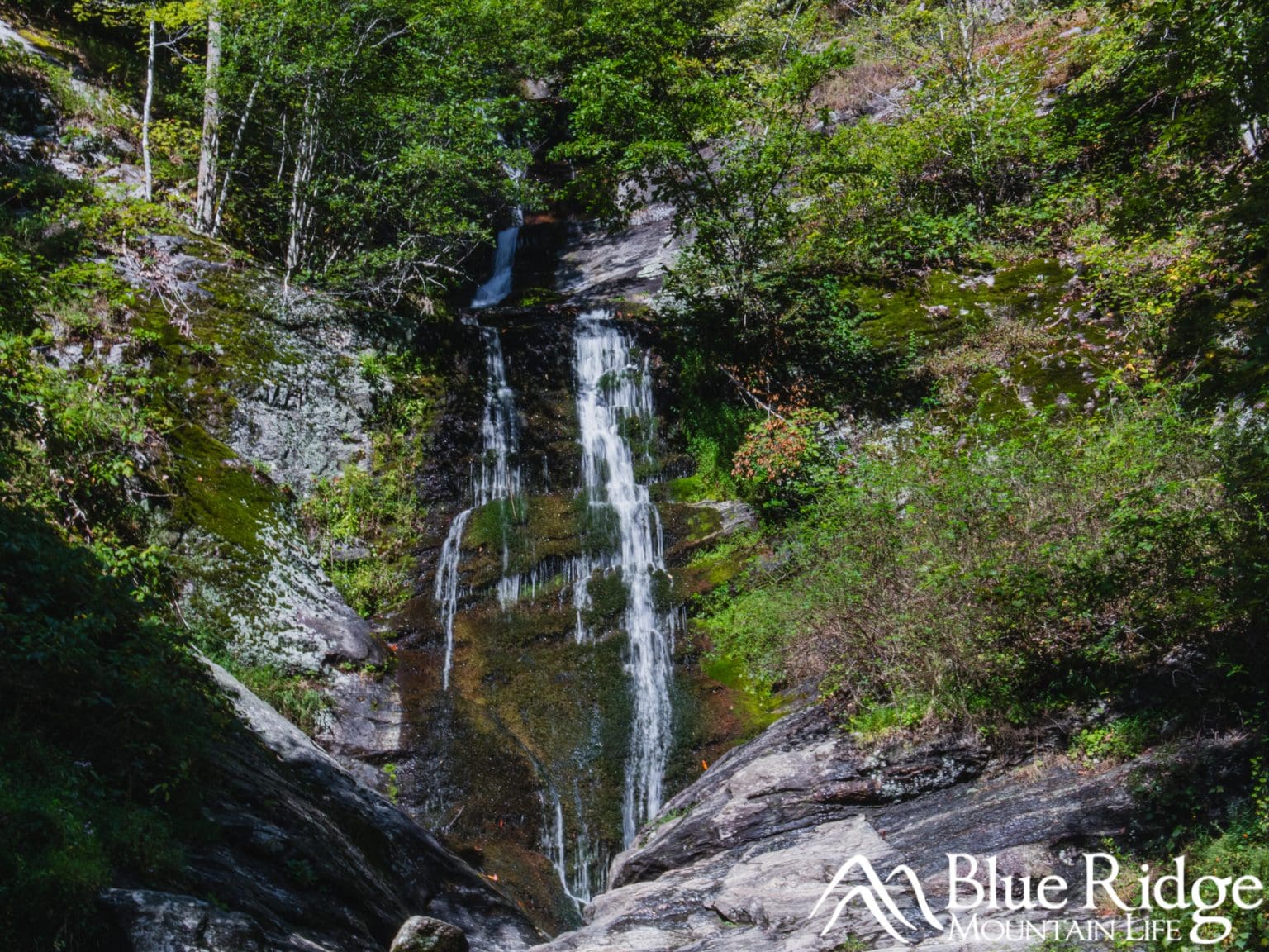 Marion NC Bucket List: Must-See Attractions and Activities