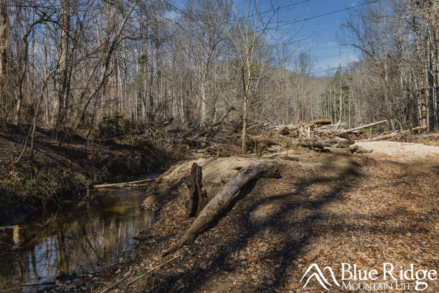 Pisgah National Forest Guide