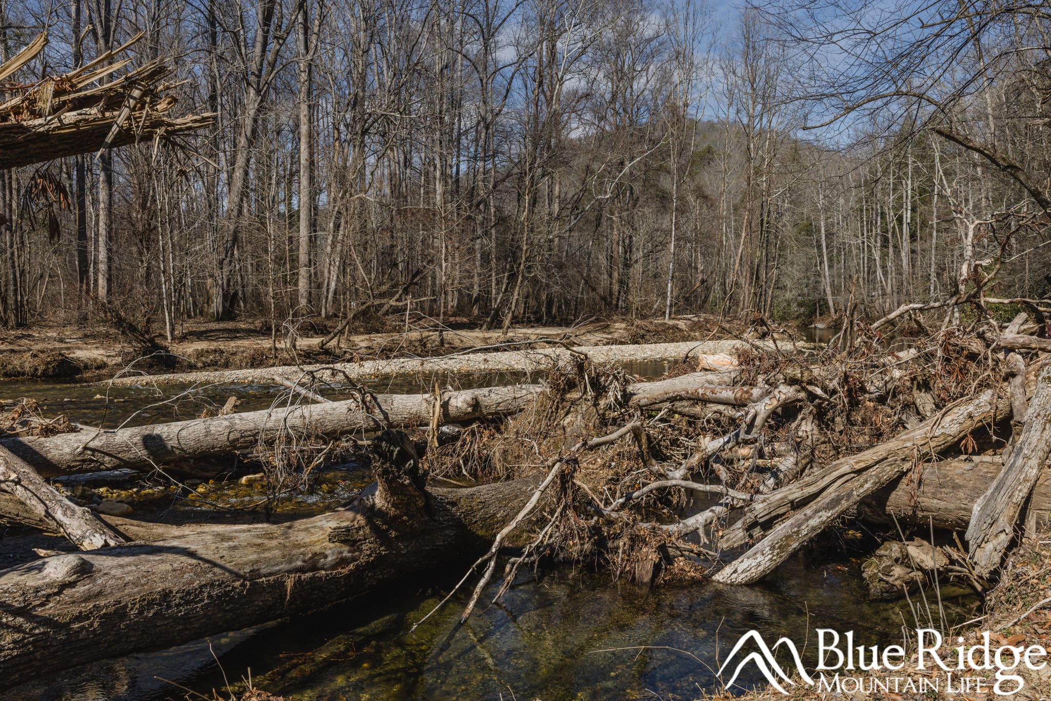 Pisgah National Forest Guide