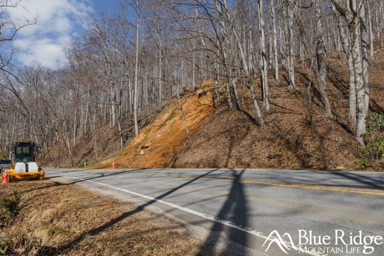 Pisgah National Forest Guide