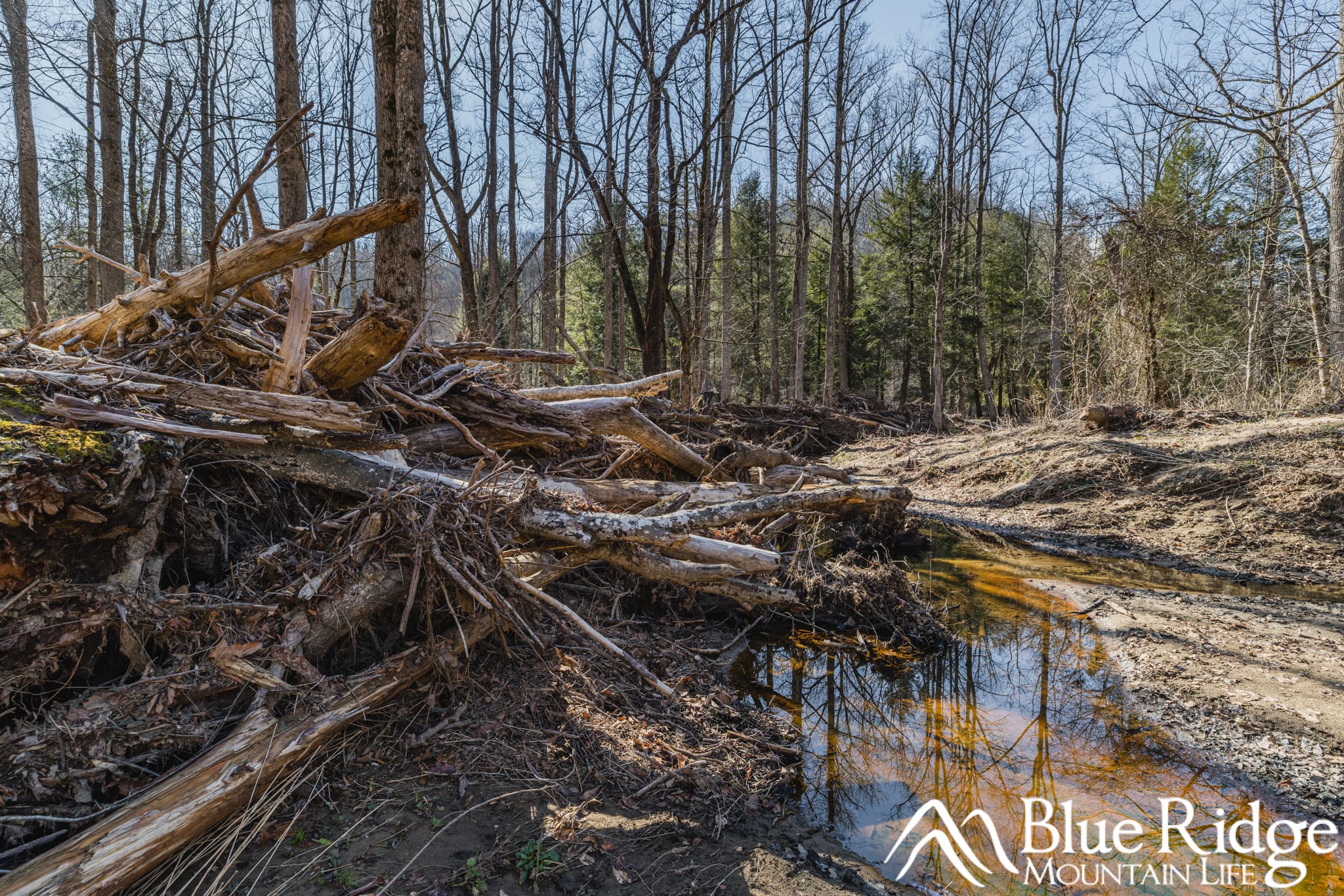 Pisgah National Forest Guide