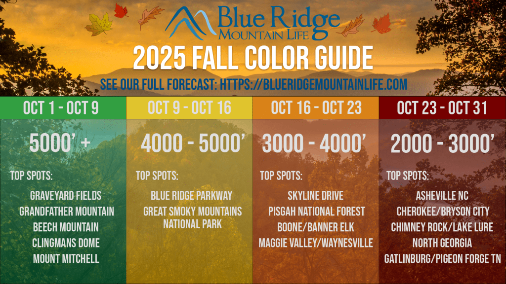 Fall Color and Foliage Guide for 2025