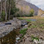 Cataloochee Valley Guide – Explore the History and Beauty