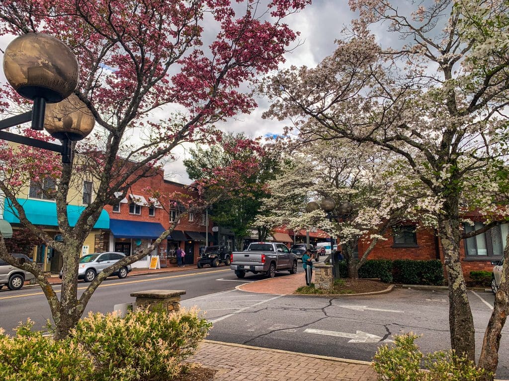 Local's Guide to the Best Things to Do in Waynesville NC