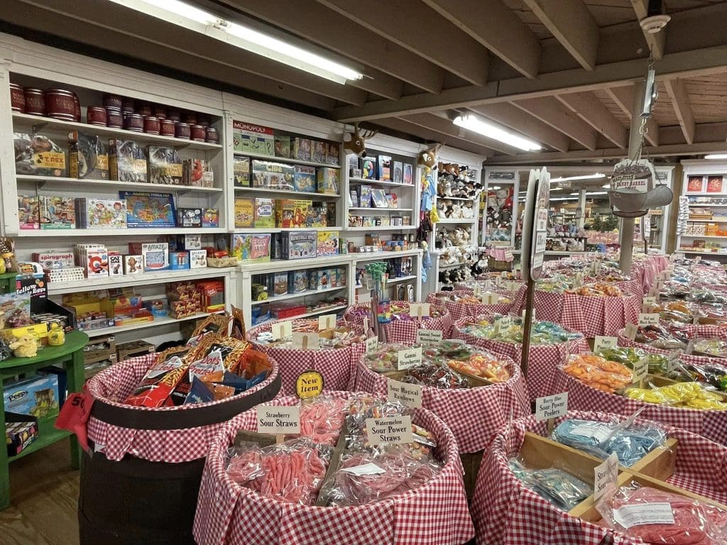 Local's Guide to the Best Things to Do in Waynesville NC