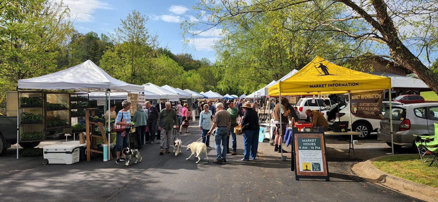Local's Guide to the Best Things to Do in Waynesville NC