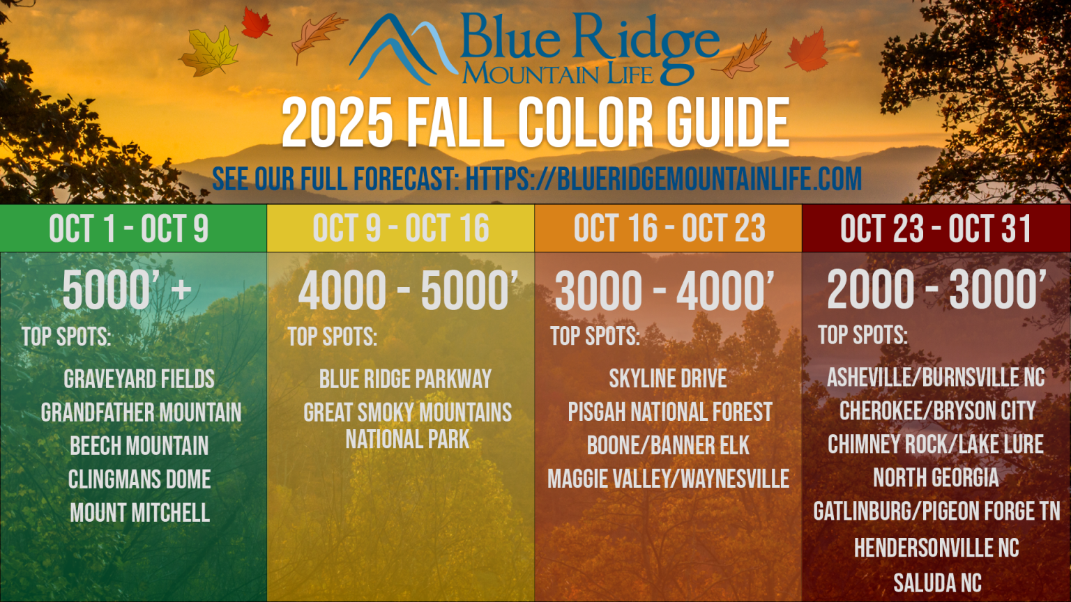 Fall Color and Foliage Guide for 2025