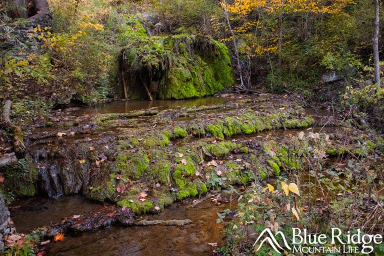 How to Visit Natural Bridge VA: Tips, Trails & Views