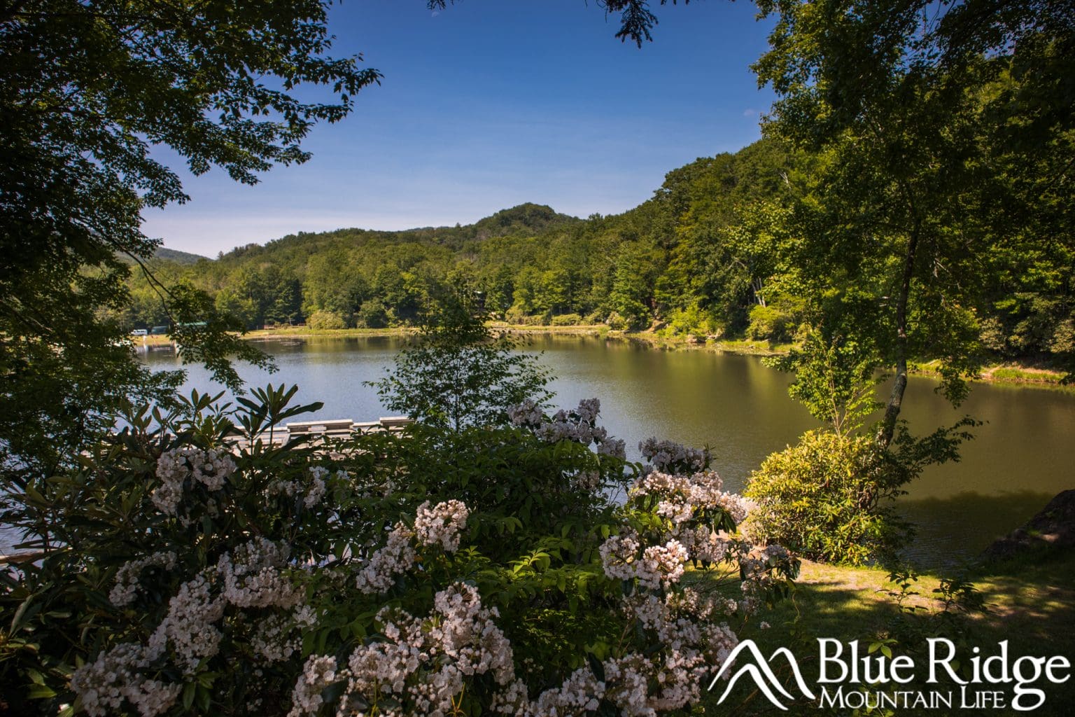 25+ Unforgettable Things to Do in Banner Elk NC