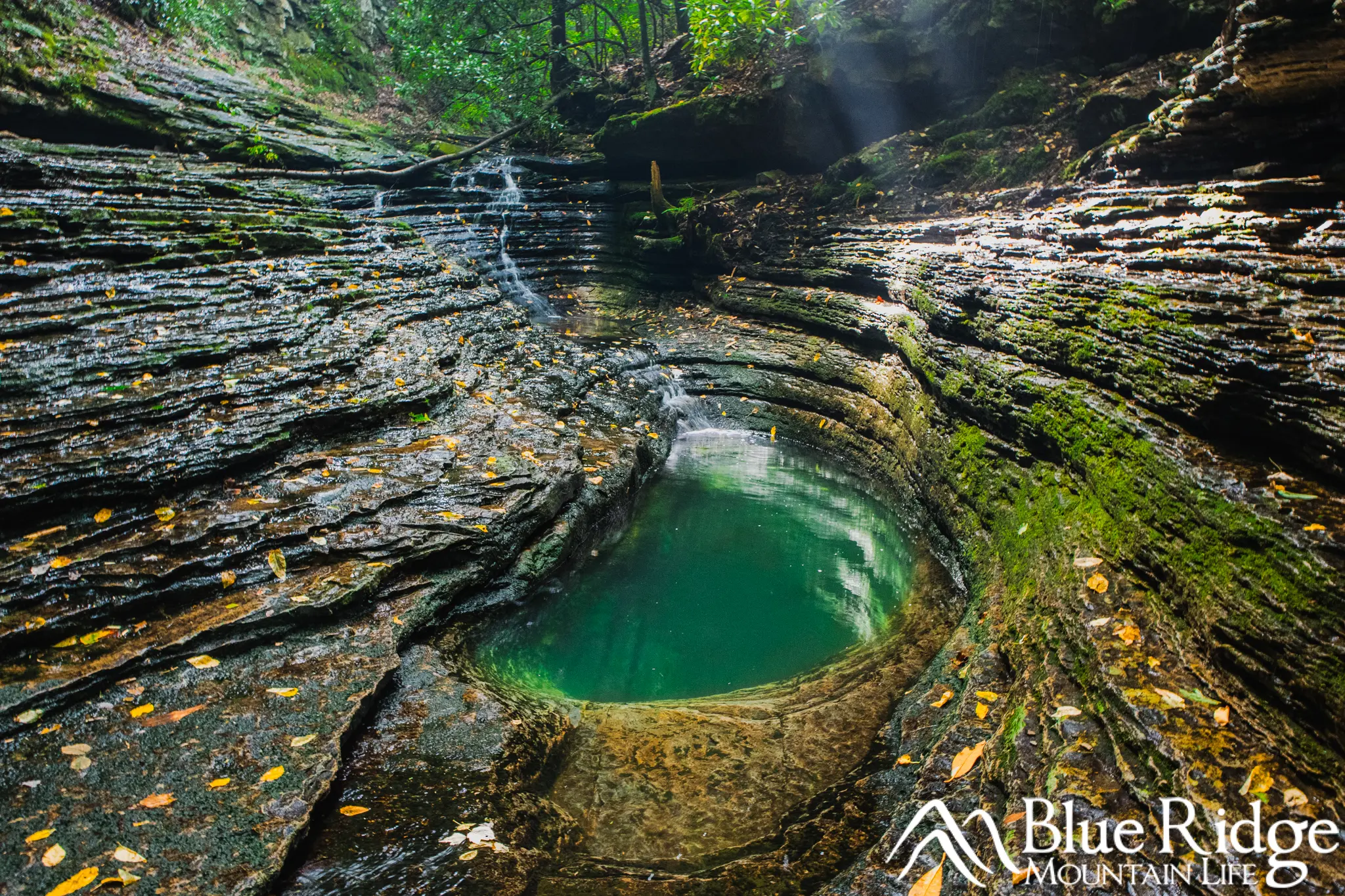 Hiking Devil’s Bathtub in Virginia: What to Expect